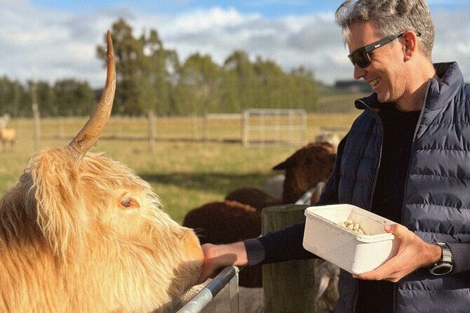 Farm Tour and Milford Sound Nature Cruise from Te Anau - An Authentic Day in Fiordland: What to Expect