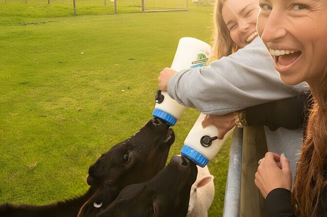 Farm Tour and Milford Sound Nature Cruise from Te Anau - Who Will Enjoy This Experience the Most?