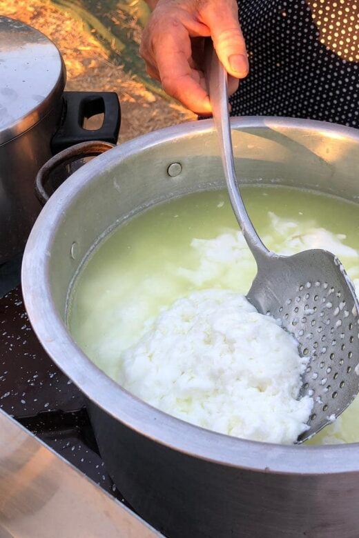 Farm Tour with Cheese-Making, Olive Oil Tasting & Picnic - Frequently Asked Questions