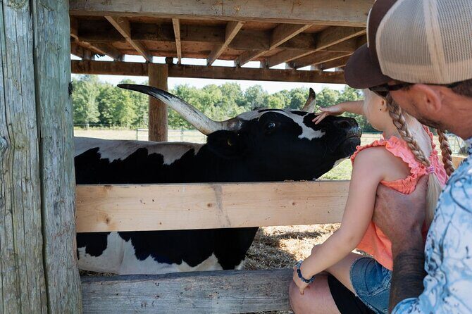Farm Visit With Mini Domestic Animals - A Closer Look at the Humberstone Ranch Experience