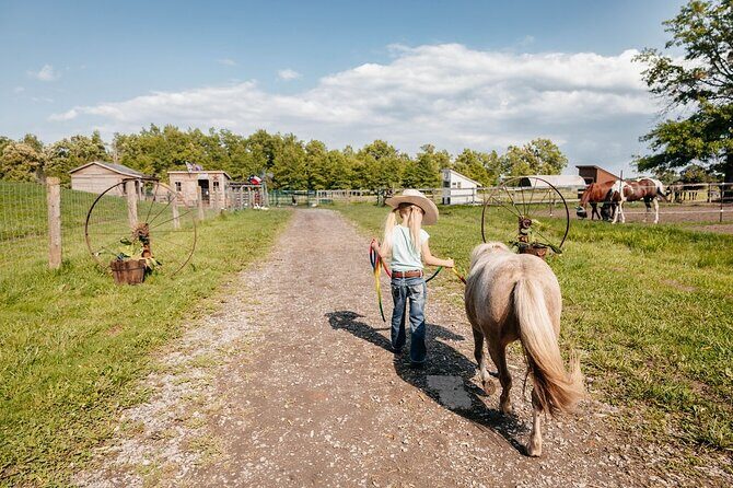 Farm Visit With Mini Domestic Animals - Who Will Love This Tour?