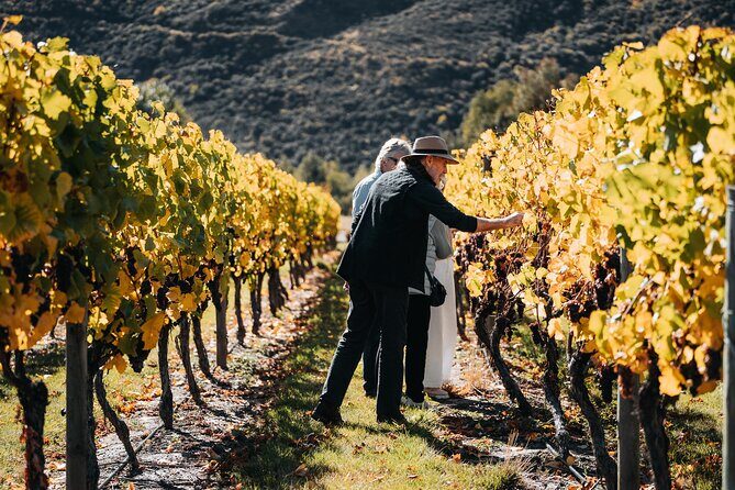 Farm & Wine Experience Fun Experience from Queenstown New Zealand - The Journey Begins: Queenstown to Bendigo