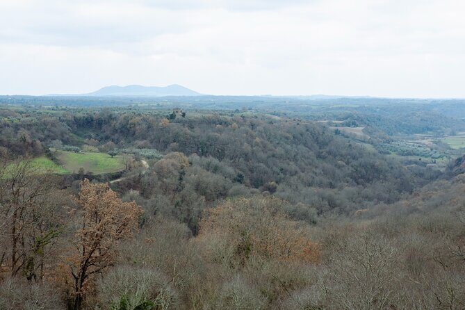 Farnese and La Selva del Lamone: between brigands and coalmen - Tasting the Local Flavors