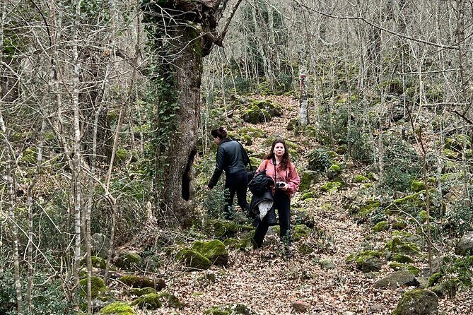 Farnese and La Selva del Lamone: between brigands and coalmen - Practical Details and What to Expect