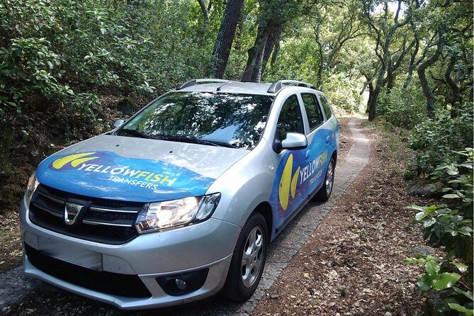 Faro airport - Albufeira: Private Return Transfer - The Experience: What to Expect