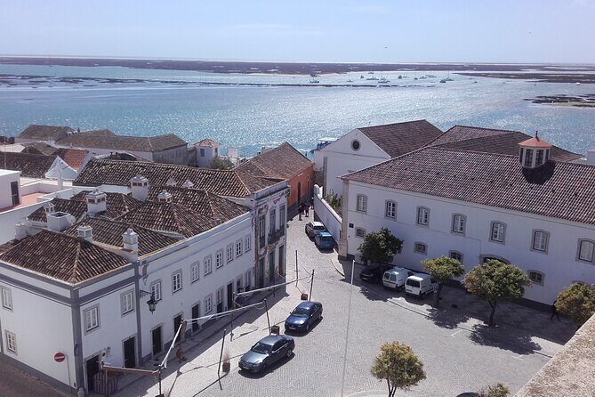 Faro City and Beach Tour on Electric Tuk tuks - Who’s This Tour Best For?