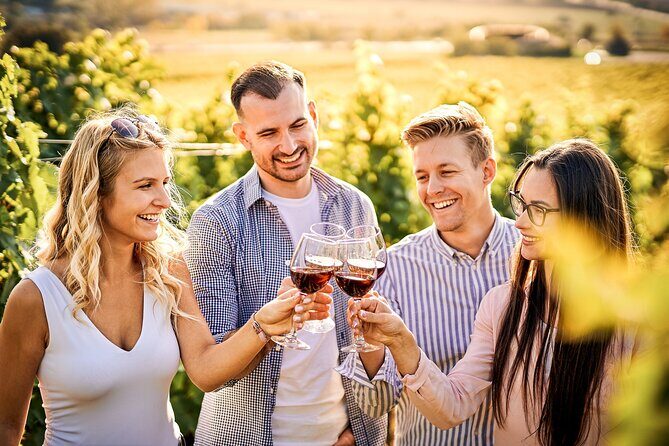 Faro City Portuguese Tapas - Who Should Book This Tour?