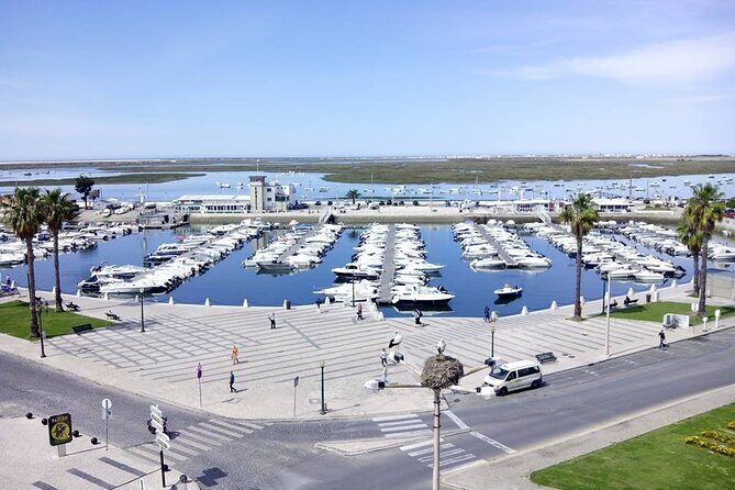 Faro City Tour on Electric Tuk tuks - Who Should Consider This Tour?