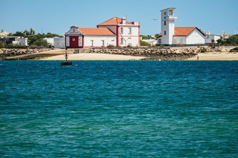 Faro: Deserta Island and Farol Island Catamaran Boat Trip - Who Is This Tour Best For?