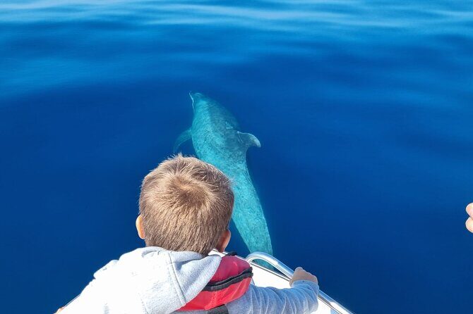 FARO Fantastic Dolphin Observation Tour and Marine Life - Final Thoughts