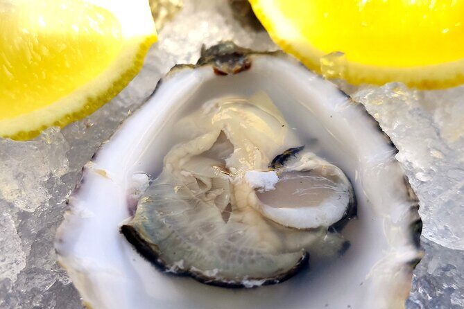 Faro Food Tour & Drinks and City highlights 10 Tastings - Authenticity and Real Moments from Past Travelers