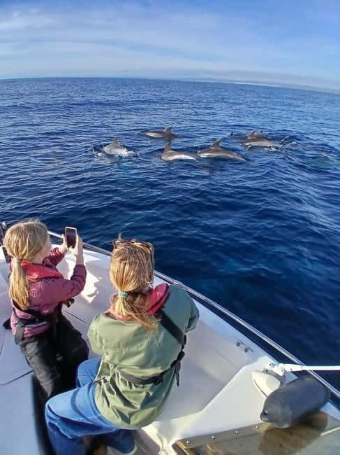 Faro: Funtastic Dolphin Watching Boat Tour - Authentic Experiences from Past Travelers