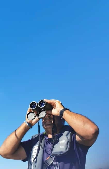 Faro: Funtastic Dolphin Watching Boat Tour - Who Will Love This Tour?