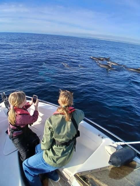 Faro: Funtastic Dolphin Watching Boat Tour - Final Thoughts: Is This Tour Worth Your Time?