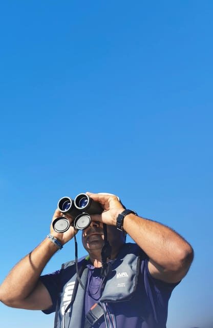 Faro: Pudim Real Boat Tours 6h guided boat tour Ria Formosa - The Sum Up