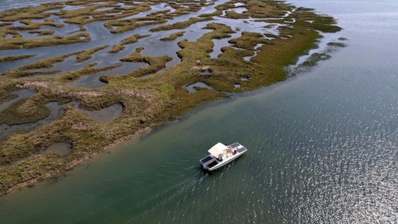 Faro: Ria Formosa Boat Tour by Eco-Friendly Solar Boat - An In-Depth Look at the Faro Ria Formosa Solar Boat Tour