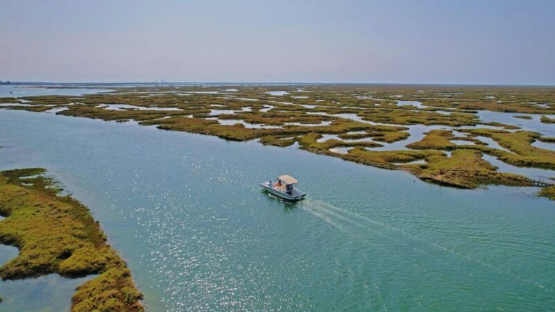 Faro: Ria Formosa Boat Tour by Eco-Friendly Solar Boat - Final Thoughts