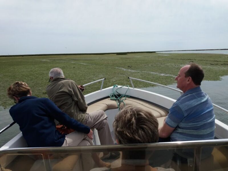 Faro: Ria Formosa Boat Tour - Frequently Asked Questions