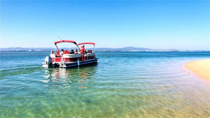 Faro: Ria Formosa Faro Islands Boat Tour - Authentic Experiences and Tips