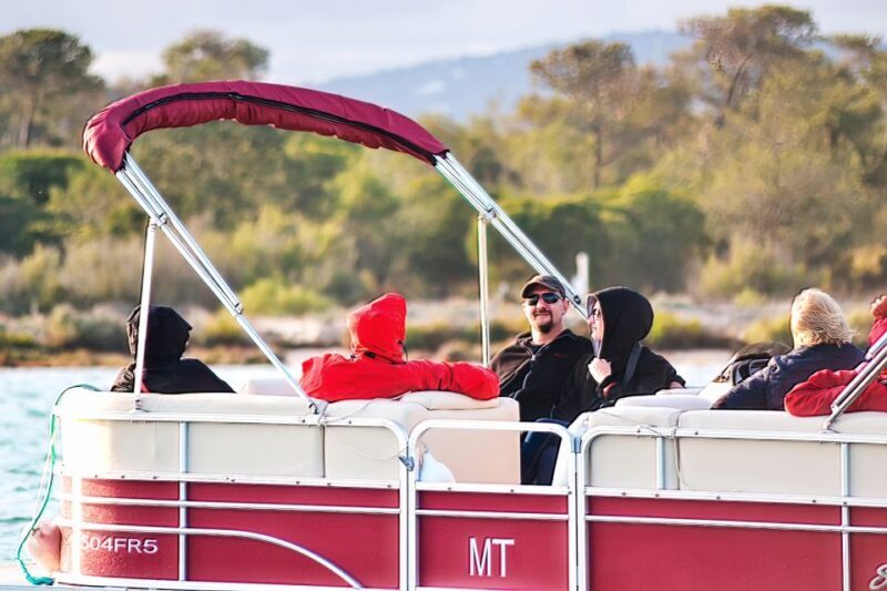 Faro: Ria Formosa Faro Islands Boat Tour - Final Thoughts