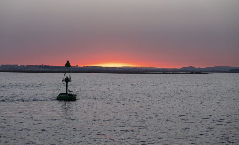 Faro: Ria Formosa Guided Sunset Tour by Catamaran - Scenic Route and Natural Highlights