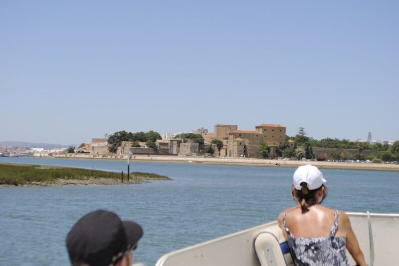 Faro: Ria Formosa Lagoon Small Boat Tour with Local Guide - The Experience: What to Expect on the Ria Formosa Boat Tour