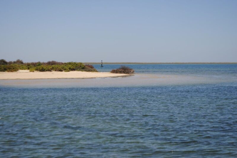 Faro: Ria Formosa Lagoon Small Boat Tour with Local Guide - The Sum Up