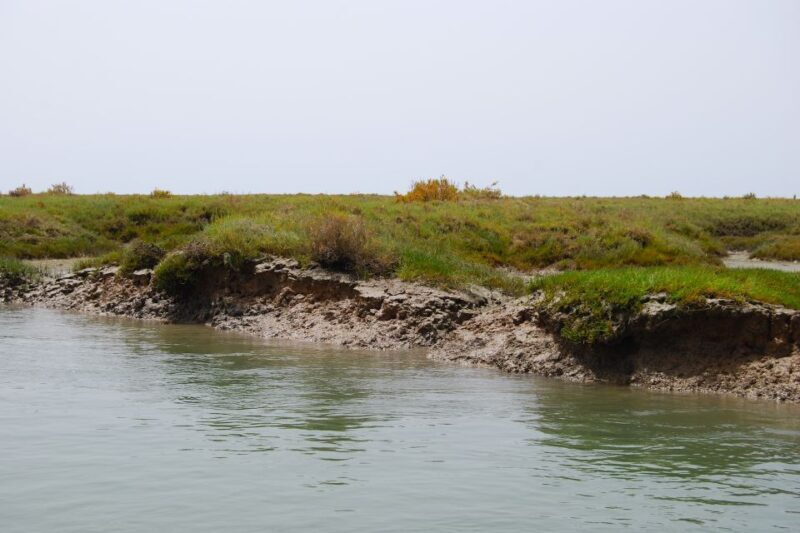 Faro: Ria Formosa Lagoon Small Boat Tour with Local Guide - FAQs