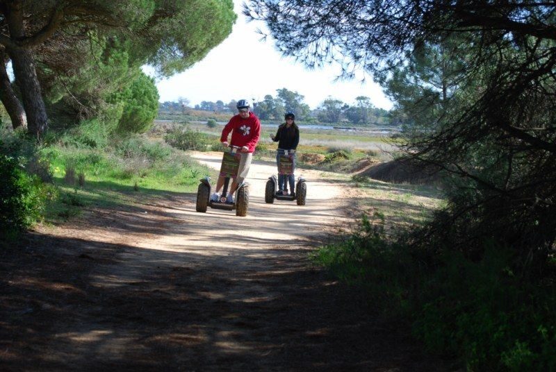 Faro: Ria Formosa Natural Park Segway Tour & Birdwatching - What You’ll Need and What to Expect