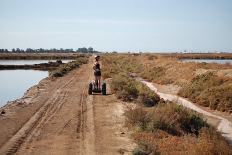 Faro: Ria Formosa Natural Park Segway Tour & Birdwatching - The Verdict: Who Is This Tour Perfect For?