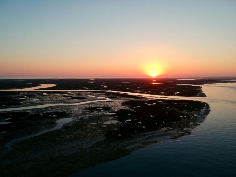 Faro: Ria Formosa Sunset Nature Boat Tour - Why This Tour Stands Out