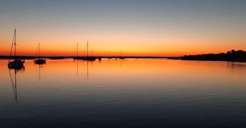 Faro: Ria Formosa Sunset Nature Boat Tour - The Value of the Tour