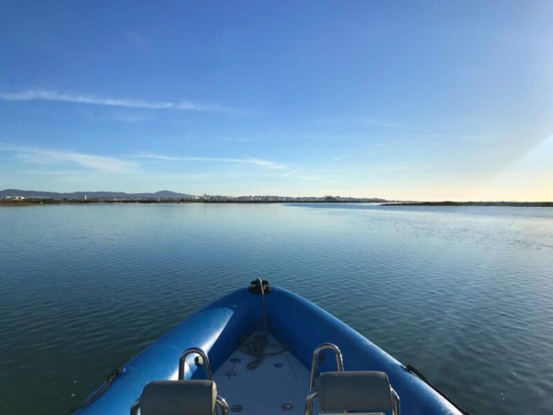 Faro: Speed Boat Tour - Final Thoughts: Who Should Book This Tour?