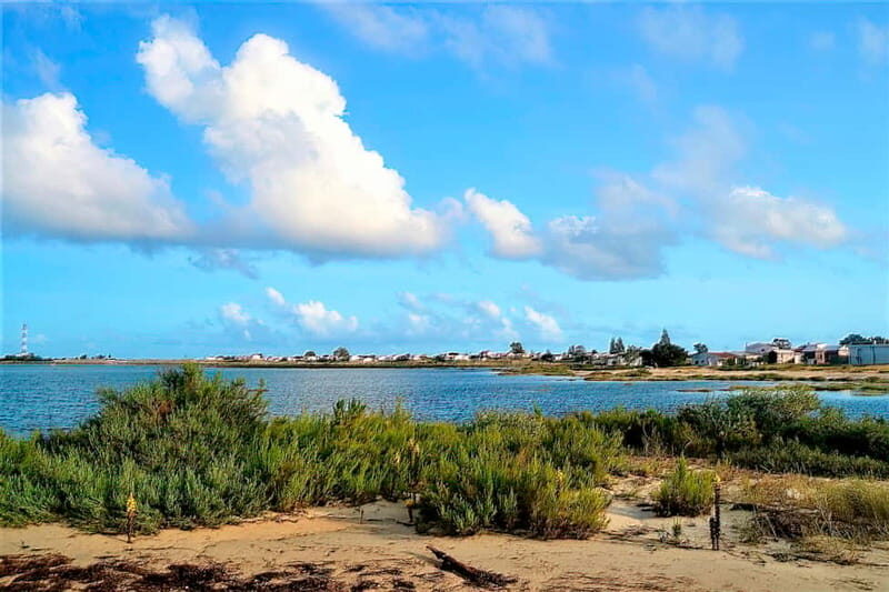 Faro: Sunset 1 hour Ria Formosa Boat Tour - Who Would Love This Tour?