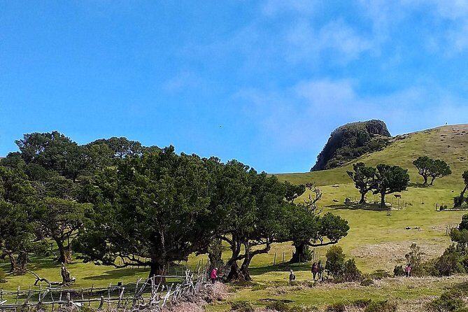 Fascinated Landscapes Northwest 4x4 excursion - FAQ