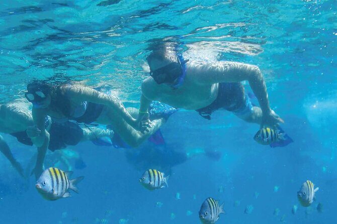 Fast & Fun: Cancun Speedboat Tour with Snorkeling - The Practicalities: What You Need to Know