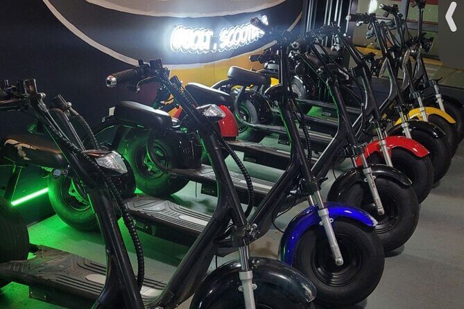 Fat Tire 2 Seater Rental in Houston - The Ride: Comfort, Power, and Control