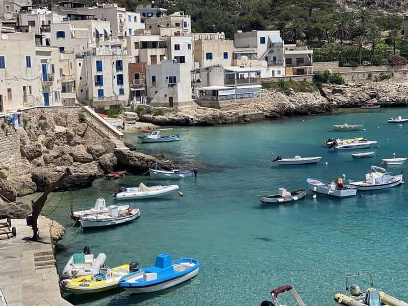 Favignana and Levanzo Boat Cruise with Lunch - Authentic Reviews and Real Experiences
