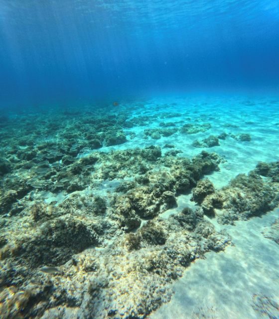 Favignana, Excursions by Dinghy from Marsala - FAQs