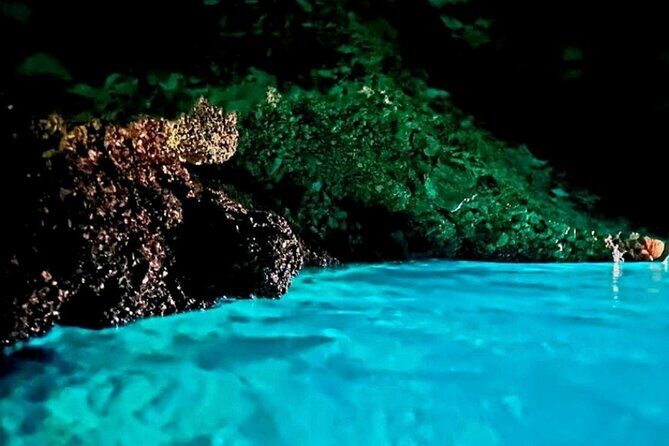 Fd boat-trip Medulin - Blue cave - Cres + lunch + dolphin search - Practical Details and Value