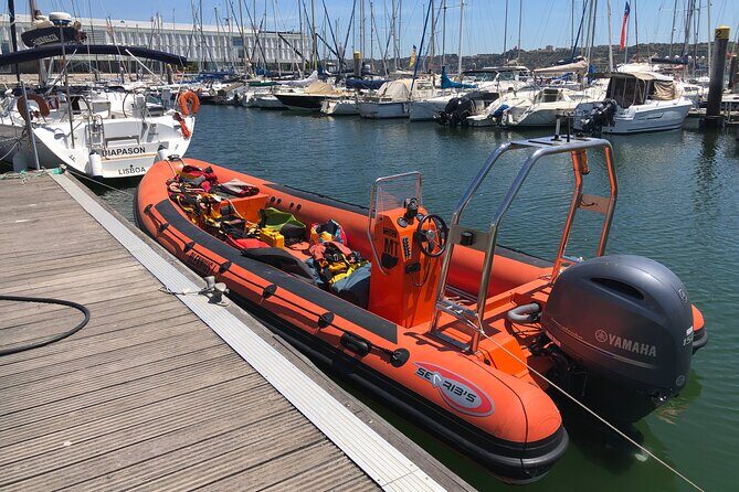 Feathers & Scales - Key Points