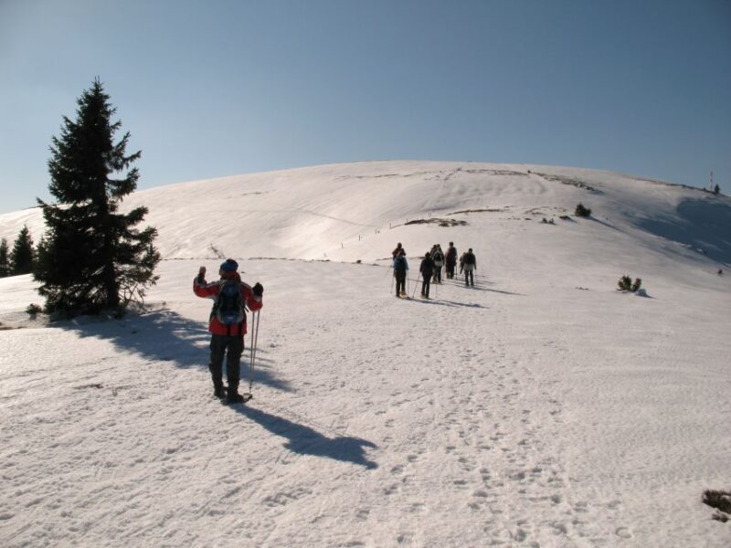 Feldberg: Guided Snowshoeing Tour in the Black Forest - Why You’ll Love Snowshoeing in the Black Forest