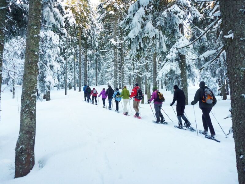 Feldberg: Guided Snowshoeing Tour in the Black Forest - What’s Included and What Not
