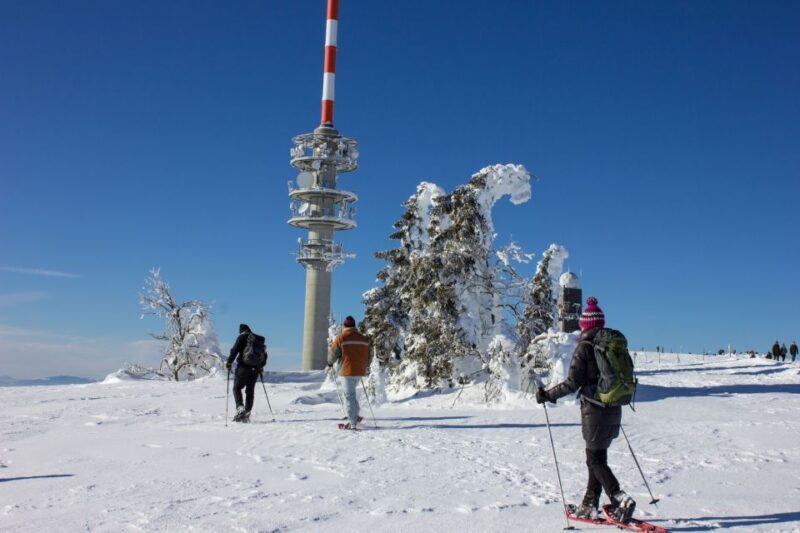 Feldberg: Guided Snowshoeing Tour in the Black Forest - Practicalities and Tips