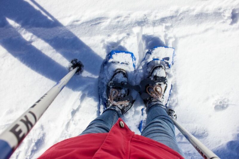 Feldberg: Guided Snowshoeing Tour in the Black Forest - Authentic Reviews and Insights