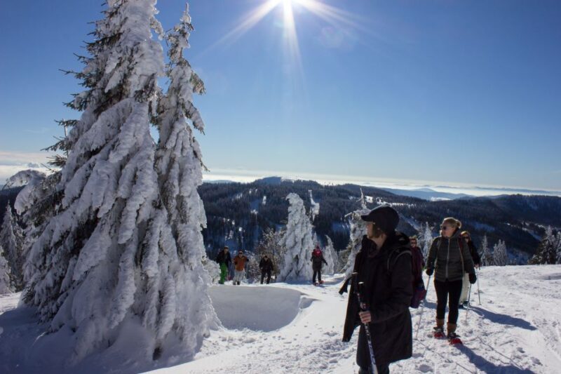 Feldberg: Guided Snowshoeing Tour in the Black Forest - Final Thoughts: Who Will Love This Tour?