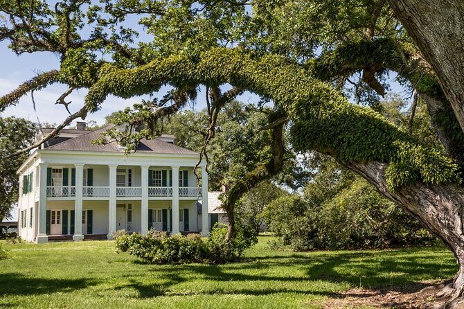 Felicity Plantation Tour - Introduction: A Dive into Louisiana’s Past