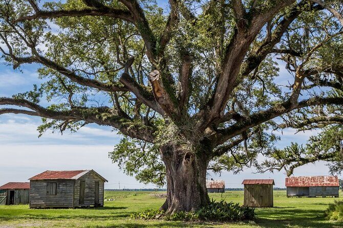 Felicity Plantation Tour - The Itinerary in Detail