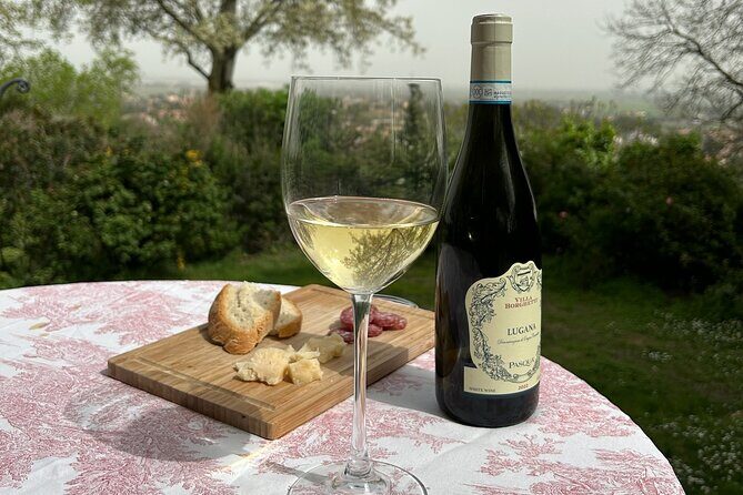 Felsina Culinaria - Personalised Private Cooking Course - Final Thoughts on the Experience