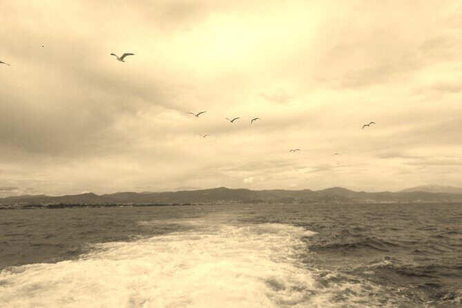 Ferry Benalmádena  Fuengirola - FAQ